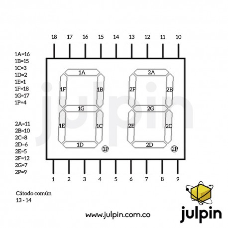 (Cátodo común) Display de 7 segmentos de 2 dígitos